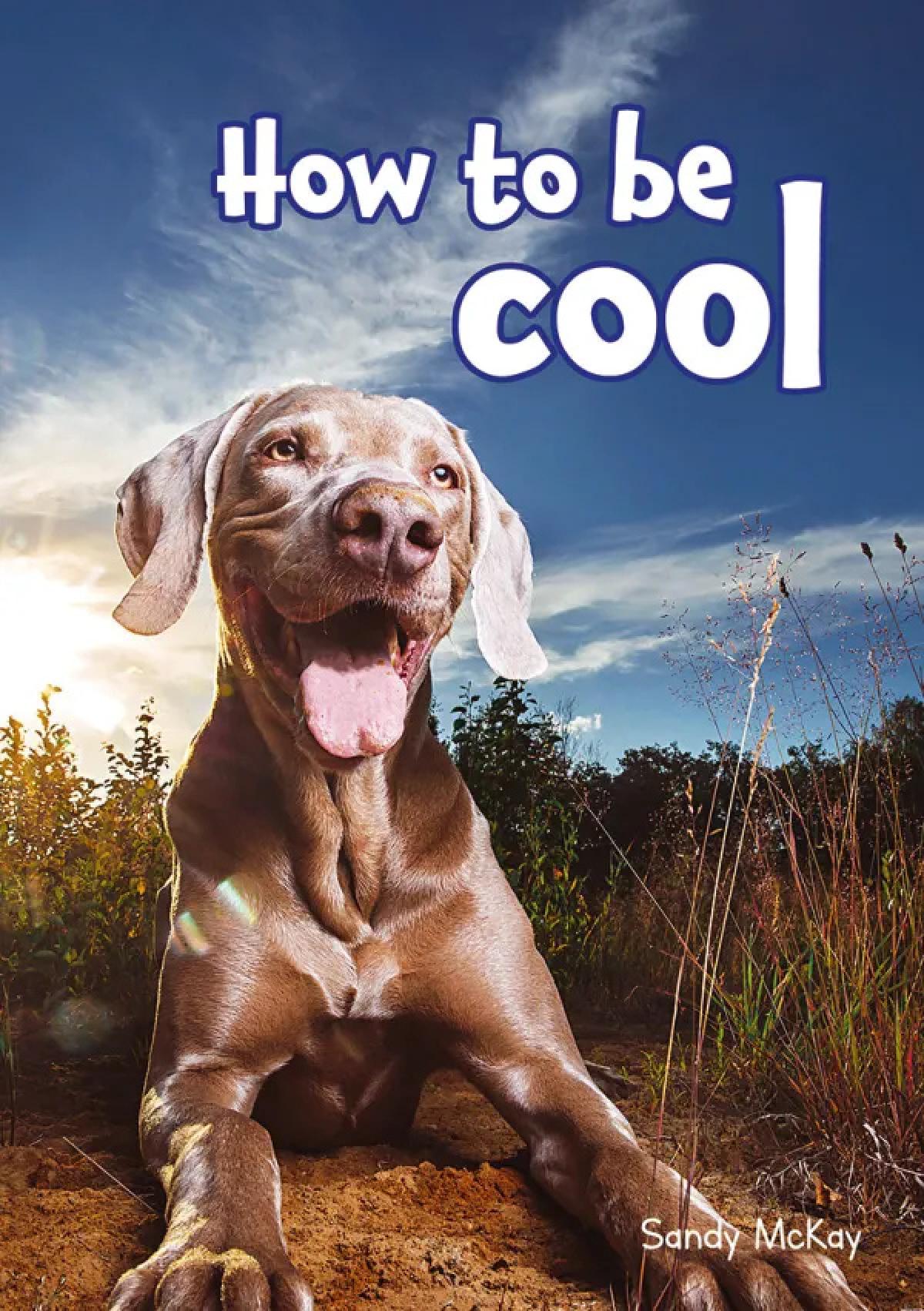 Reading Road Set 1 - How to be cool | Read Pacific | Reading Books ...
