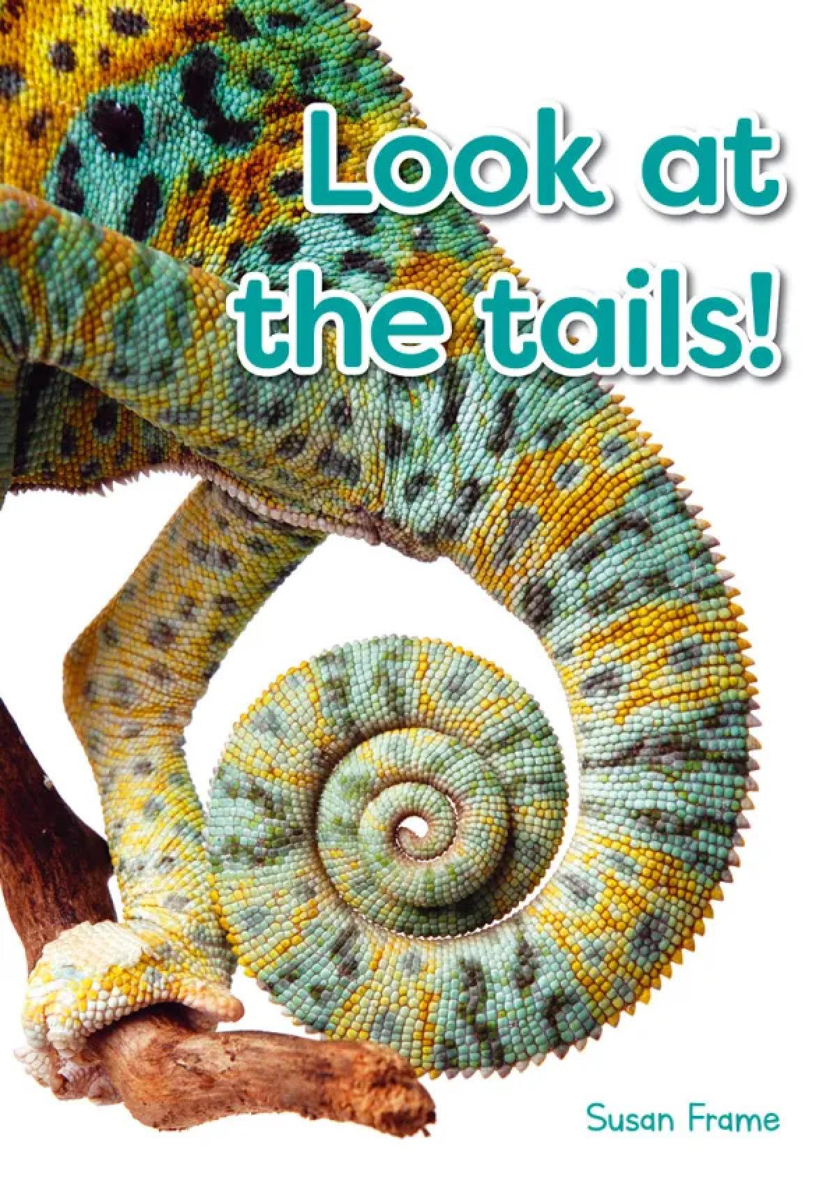 Reading Road Set 1 - Look at the tails! | Read Pacific | Reading Books ...
